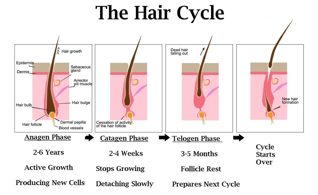 Removing Body Hair Properly – Transfemme Style